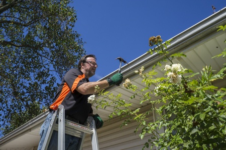 Keep in Mind These Basic Rules of Ladder Safety - Lawrence Tool Rental Inc