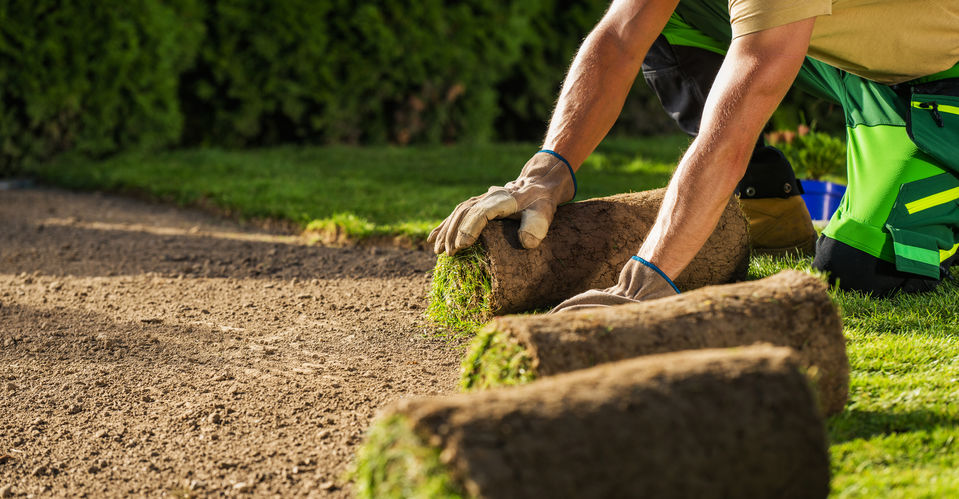 How the Right Rental Equipment Helps You Finish Jobs on Schedule ...